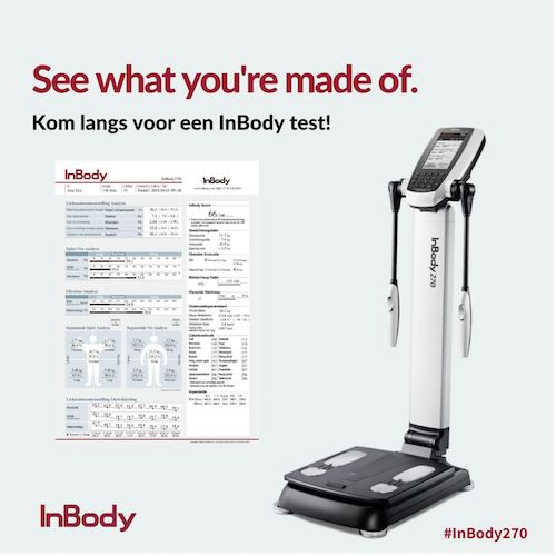 Lichaamsanalyse Met InBody-apparatuur – Diëtiste Felien